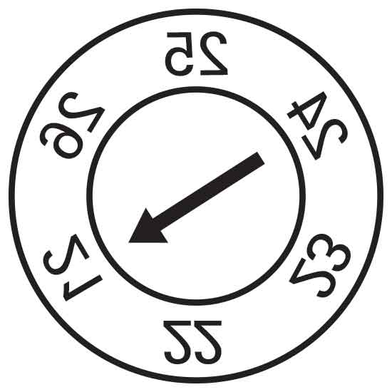 DATE INSERT INDEXABLE 10MM (6) YEAR/ARROW | DME eSTORE