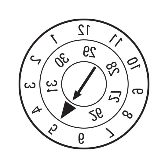 MULTI DATA DUAL RING | DME eSTORE