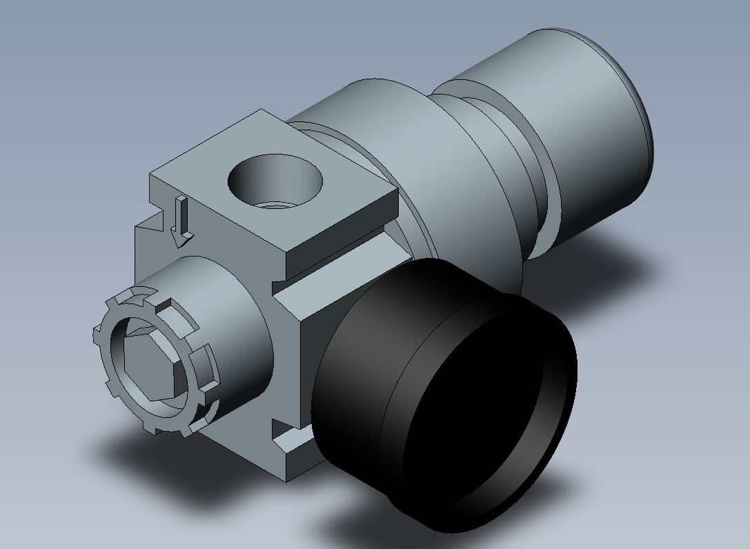 REGULATOR, NPT 3/8 PORTS, 2' | Schwarze eStore