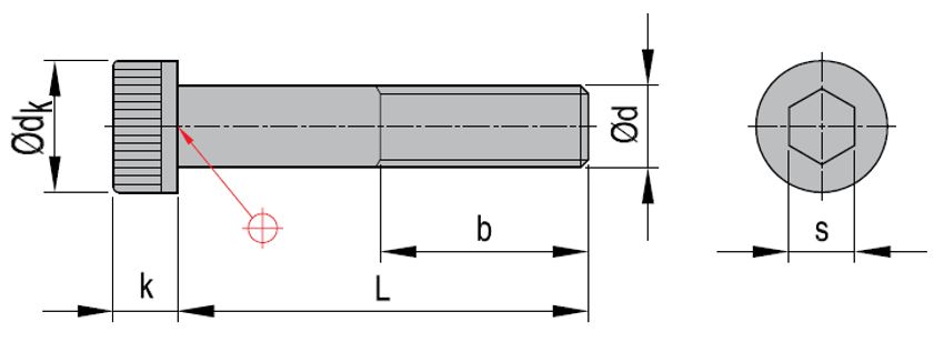 M10x20 Low head sock. screw 8.8 DIN 7984 | DME eSTORE